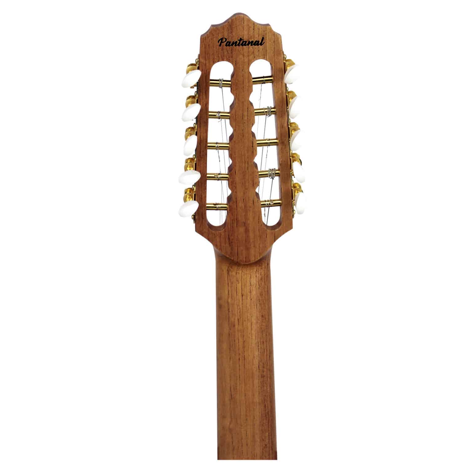 Viola Caipira Temperada Eletroacústica Giannini Raiz Pantanal VS8H LRPT ...