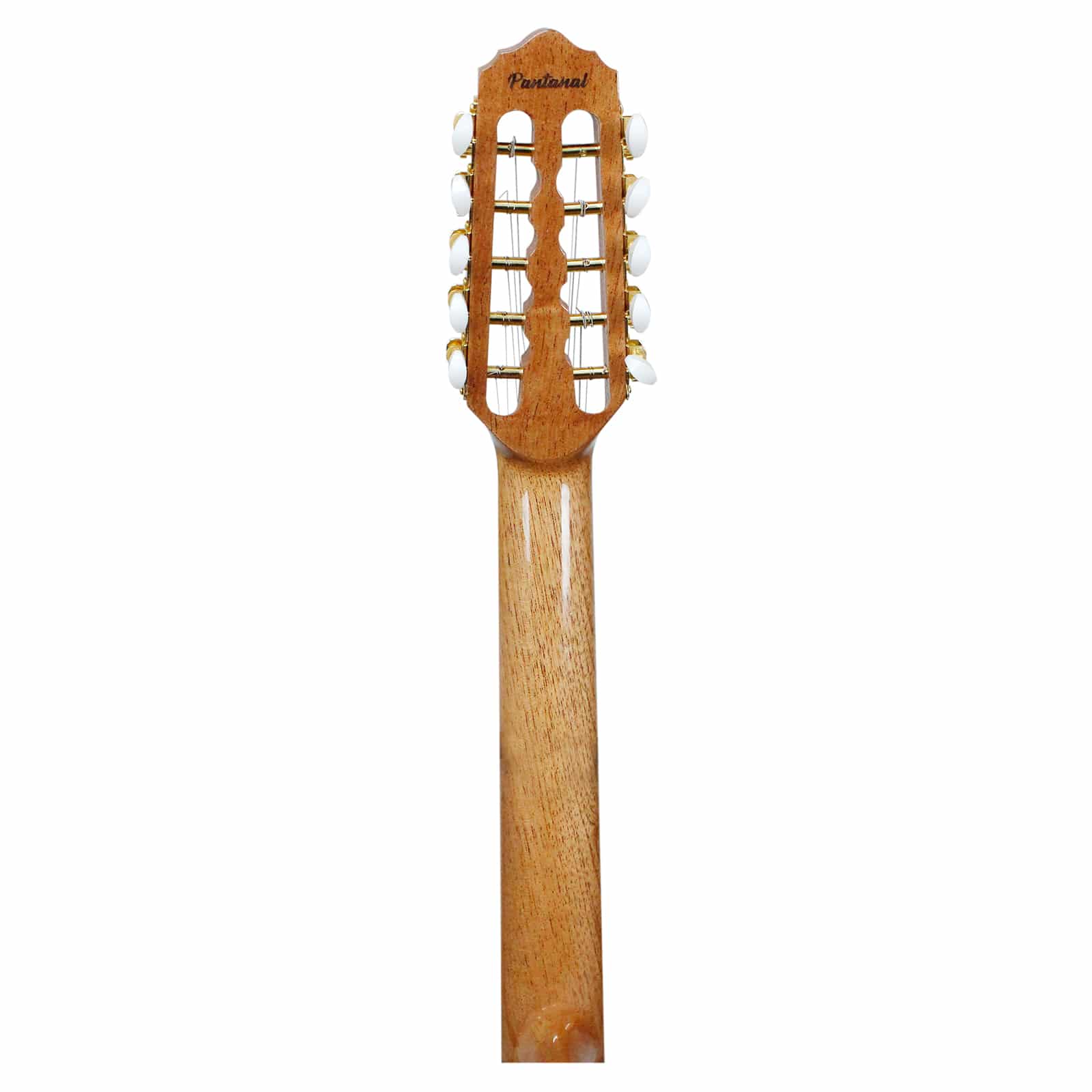 Electro Acoustic Brazilian Viola Giannini Raiz Pantanal VS8H LRPT FISHMAN OP